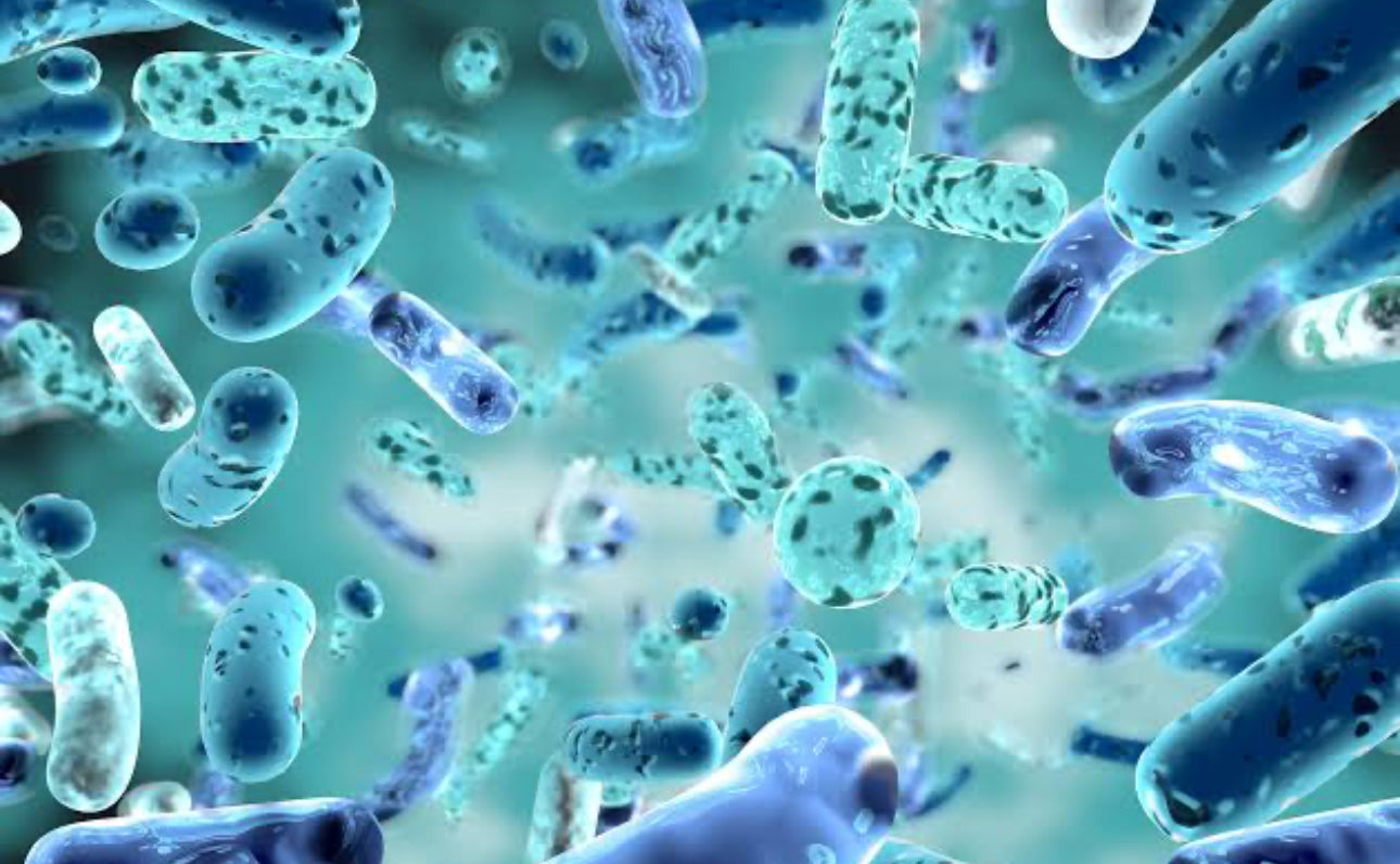 Understanding Your Skin’s Microbiome: The Invisible Ecosystem That Kee ...